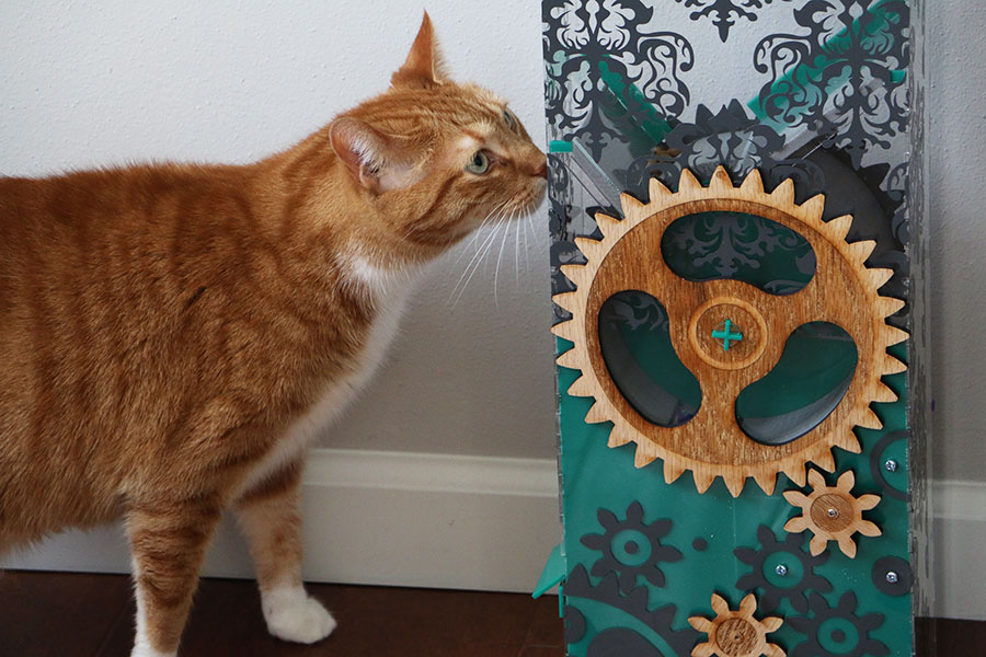 Final Project-Kayla Proctor