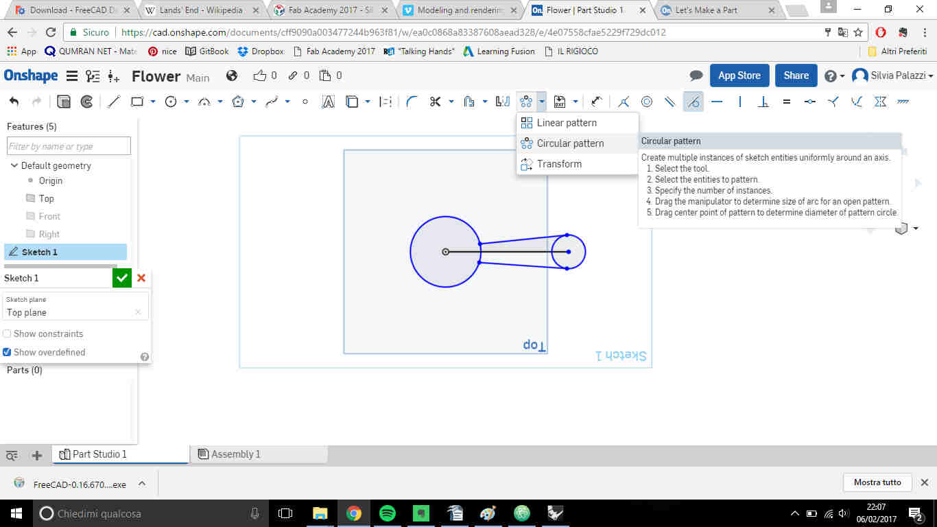 Fab Academy 2017 - Silvia Palazzi